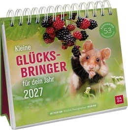 Rad | Postkartenkalender 2027: Kleine Glücksbringer für dein Jahr | 1 ...