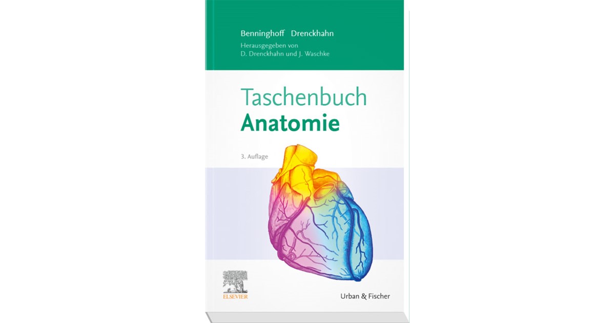 Benninghoff / Drenckhahn | Taschenbuch Anatomie | 3. Auflage | 2020 ...