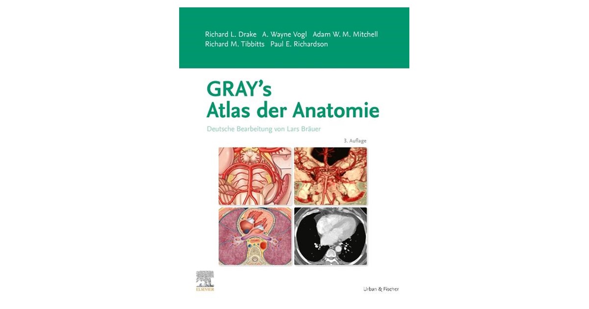 Drake / Vogl | Gray's Atlas der Anatomie | 3. Auflage | 2021 | beck-shop.de