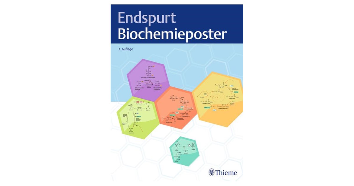 Endspurt Biochemieposter | 3. Auflage | 2023 | beck-shop.de