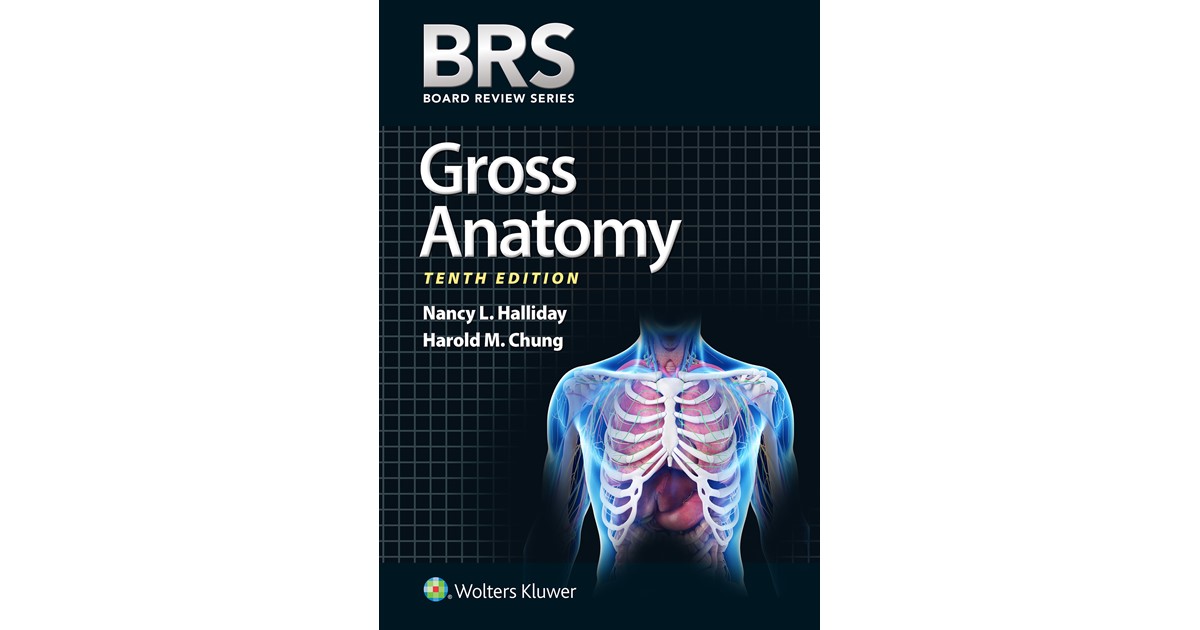 Halliday / Chung | BRS Gross Anatomy | 10. Auflage | 2023 | beck-shop.de