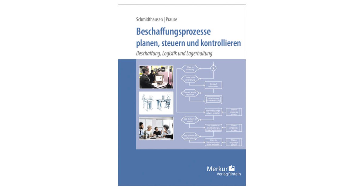 Schmidthausen / Prause | Beschaffungsprozesse planen, steuern und ...