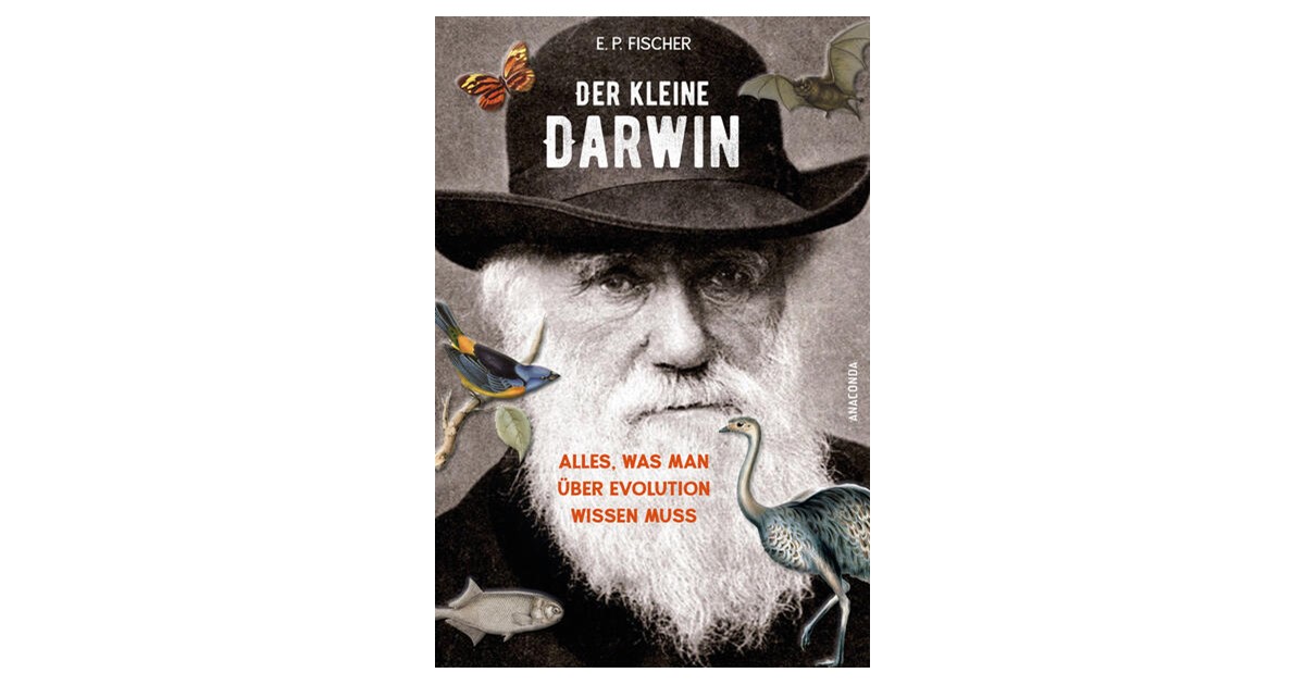 Fischer | Der kleine Darwin. Alles, was man über Evolution wissen muss | 1. Auflage | 2024 ...
