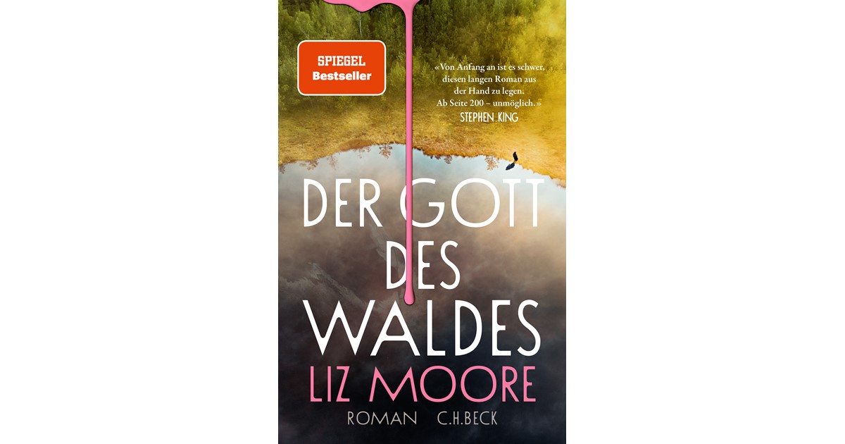 Der Gott des Waldes | Moore, Liz | Hardcover