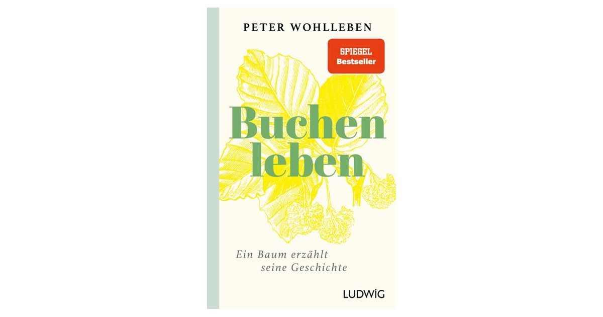 Wohlleben | Sonderedition: Buchenleben | 1. Auflage | 2024 | beck-shop.de