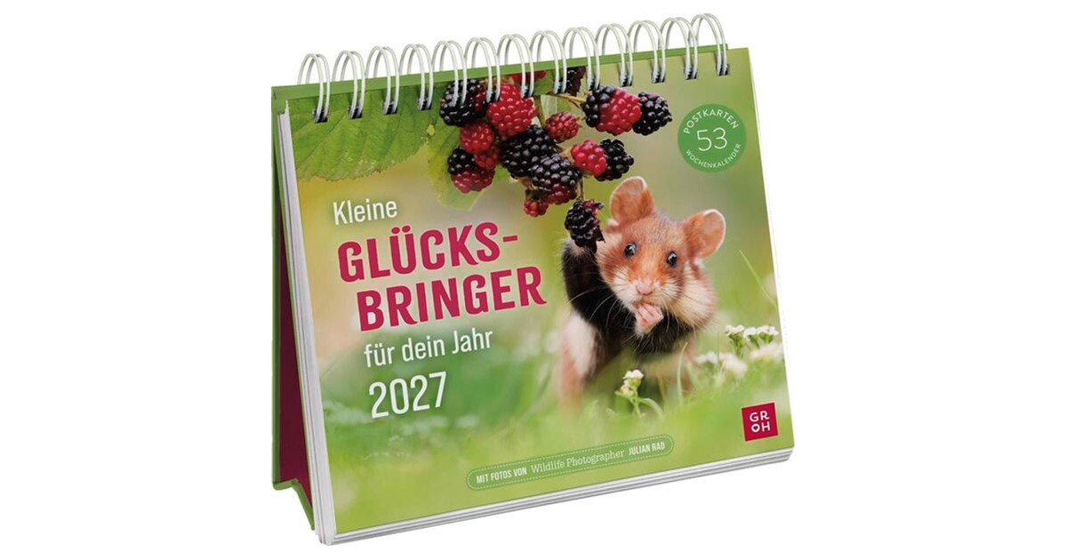 Rad | Postkartenkalender 2027: Kleine Glücksbringer für dein Jahr | 1 ...